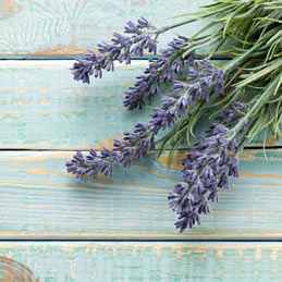 InplusLab | Cover Boxes